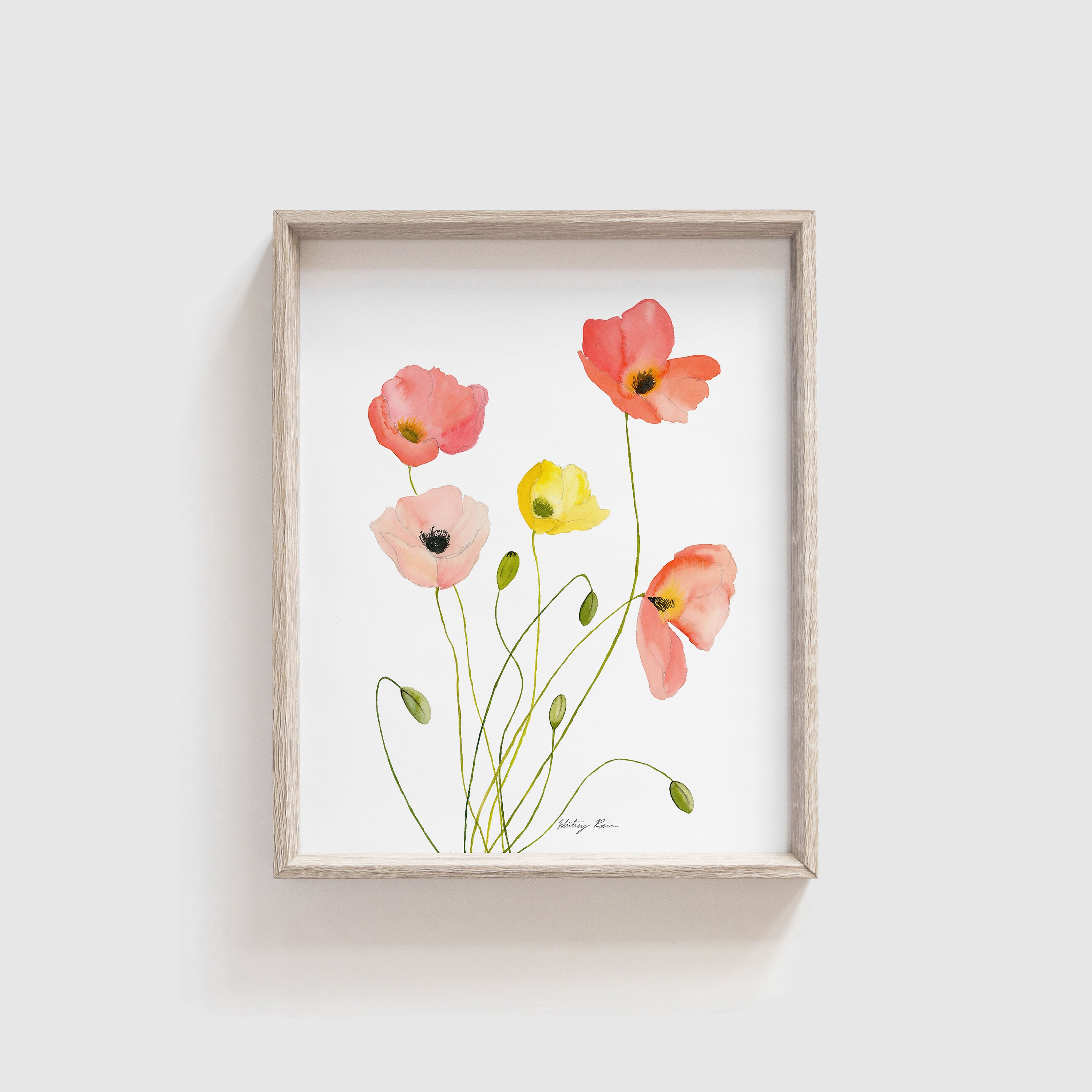 Pink Poppy Flower Art