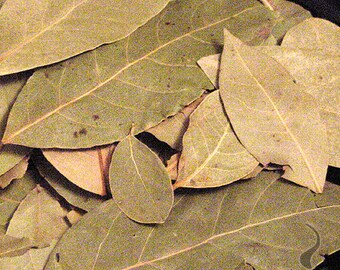 Bay Laurel Incense | Etsy