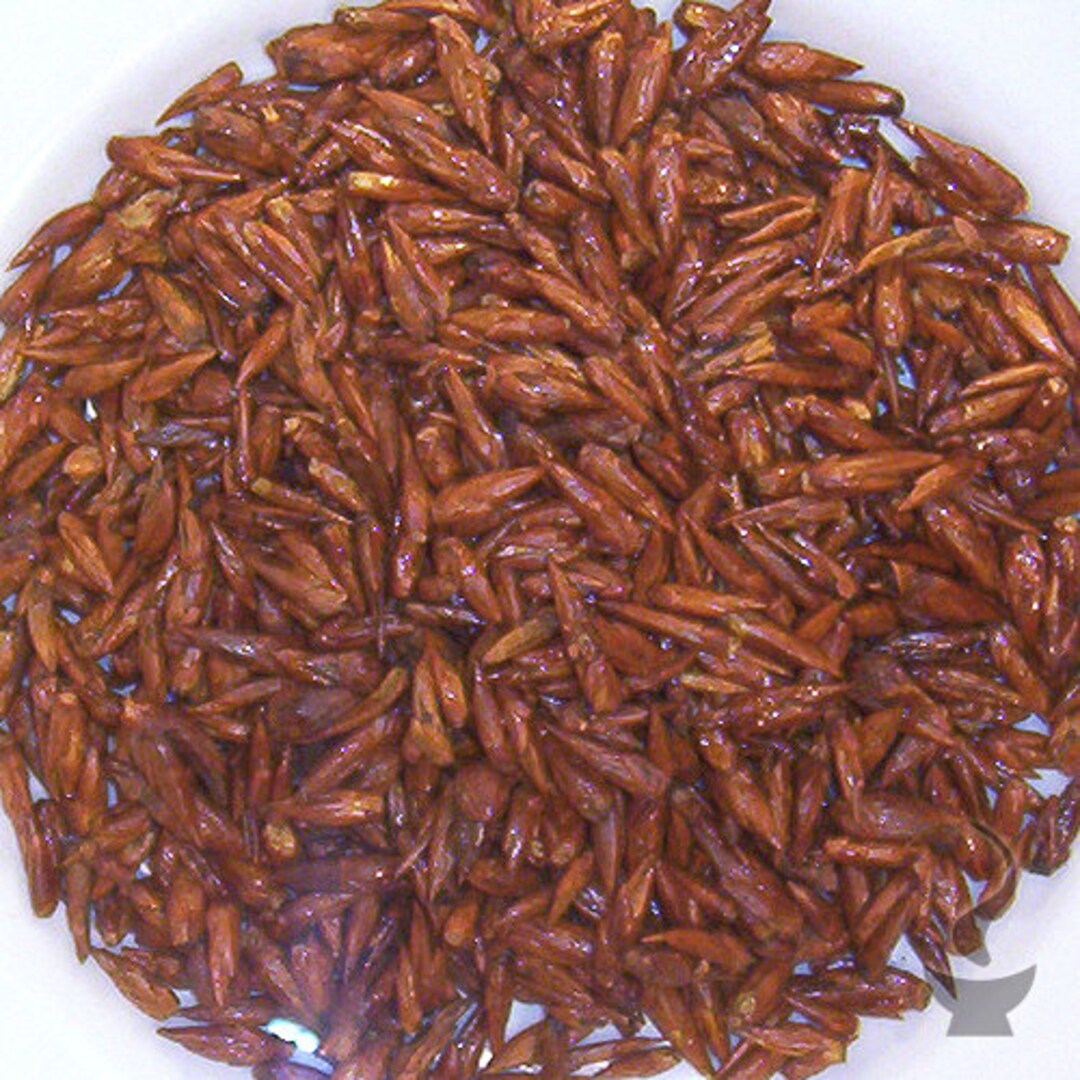 Balm of Gilead Whole Buds Populus Candicans Charcoal Herbal Loose ...