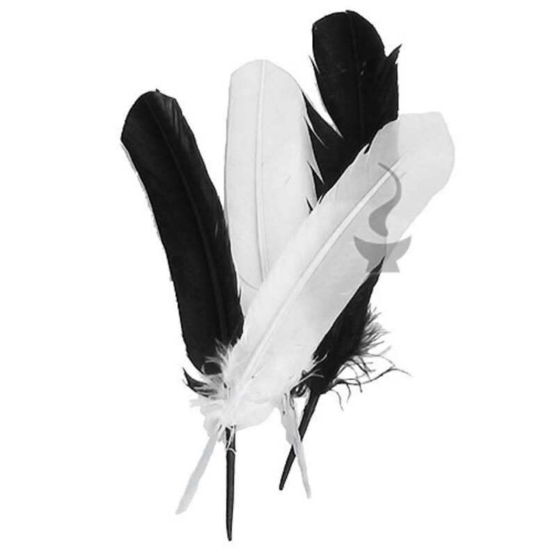 Black Large Smudging Feather 12 Inch Native American Shaman | Etsy