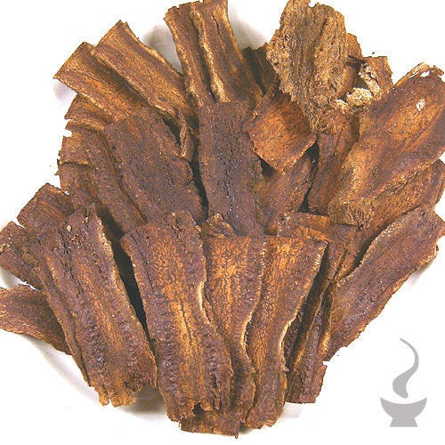 Costus Root China Saussurea lappa Charcoal Herbal Herbs | Etsy