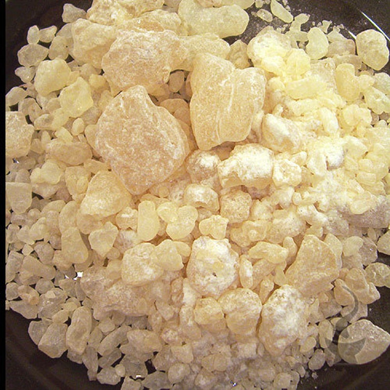 Singapore White Damar Resin Agathis Dammara Dammar Damer - Etsy