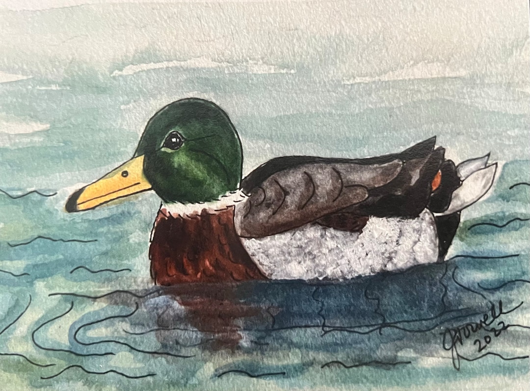 Mallard Duck Note Card, Hand Painted Print, Duck Card, Card for Hunters ...