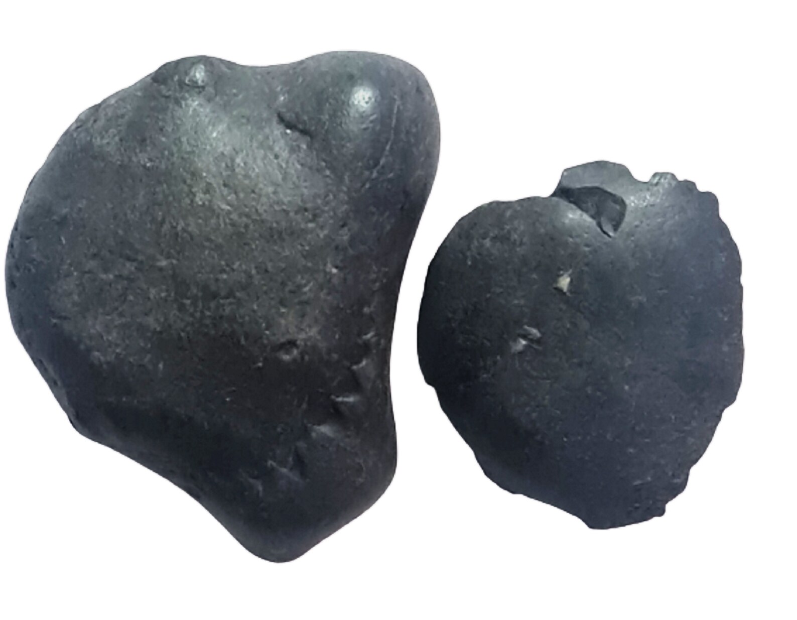 Rare Collection Of Saligram Shaligram Hinduism Religion | Etsy