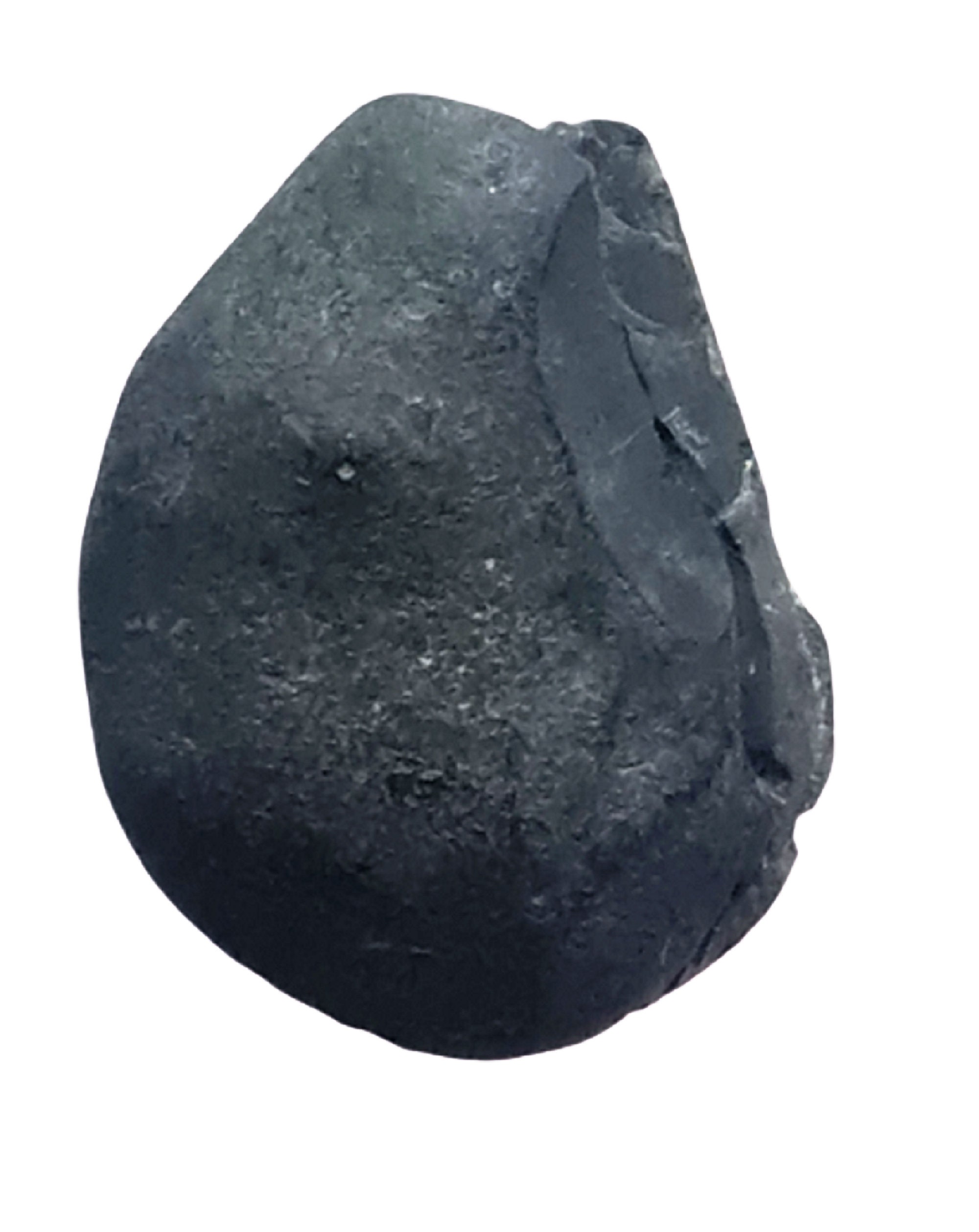 Rare Collection of Shaligram Saligram Hinduism Religion | Etsy