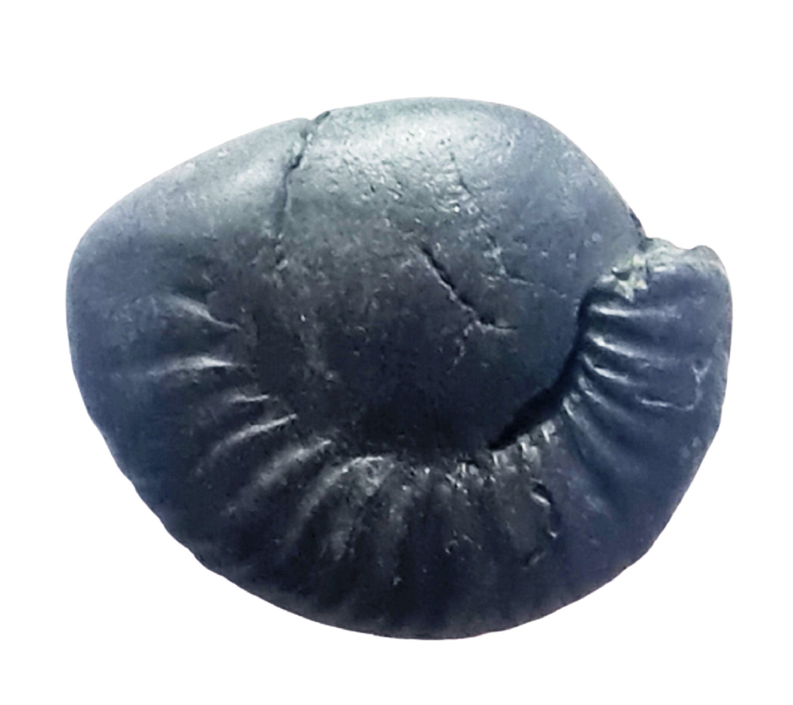 Rare Collection of Shaligram Saligram Hinduism Religion | Etsy