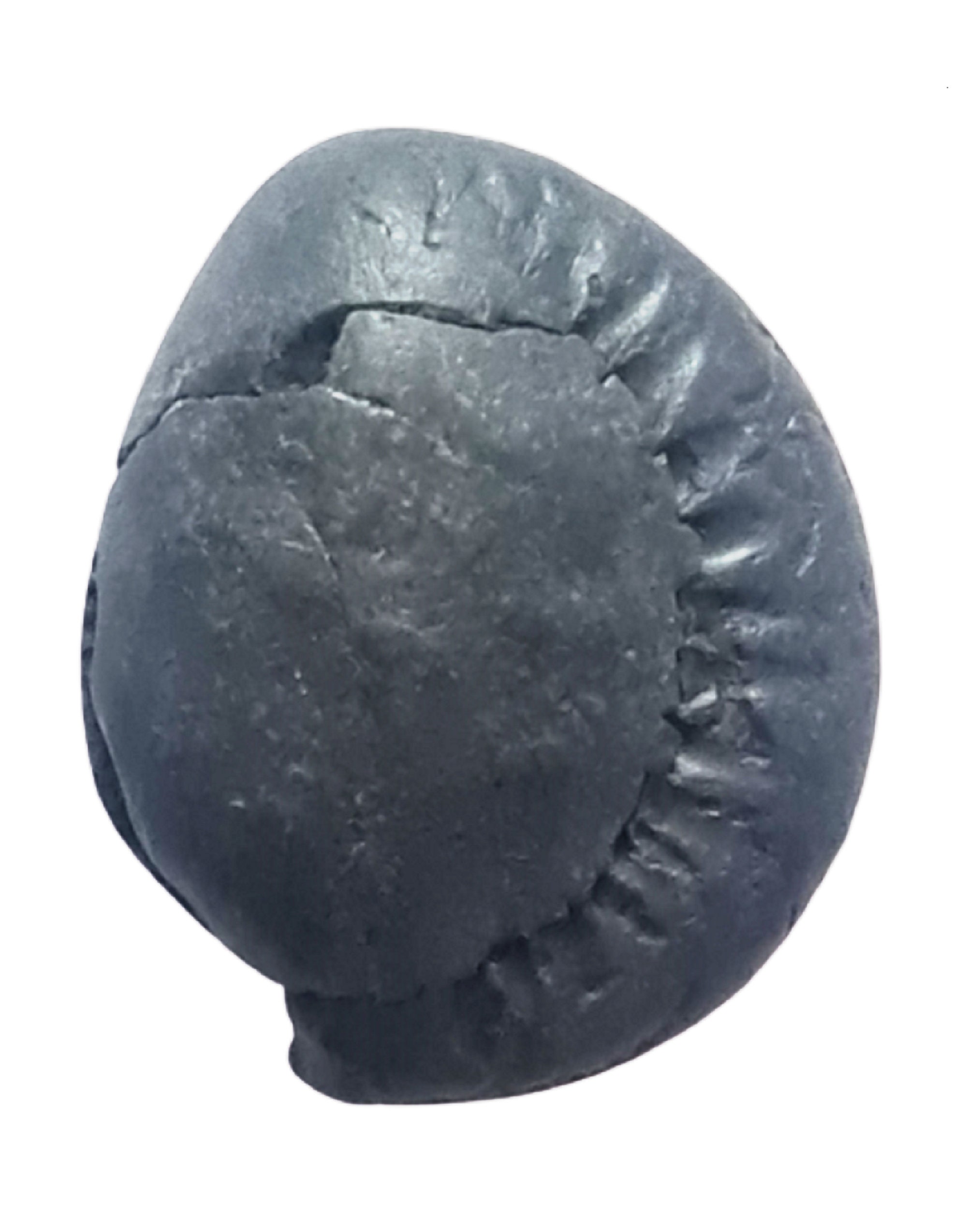 Rare Collection of Shaligram Saligram Hinduism Religion | Etsy