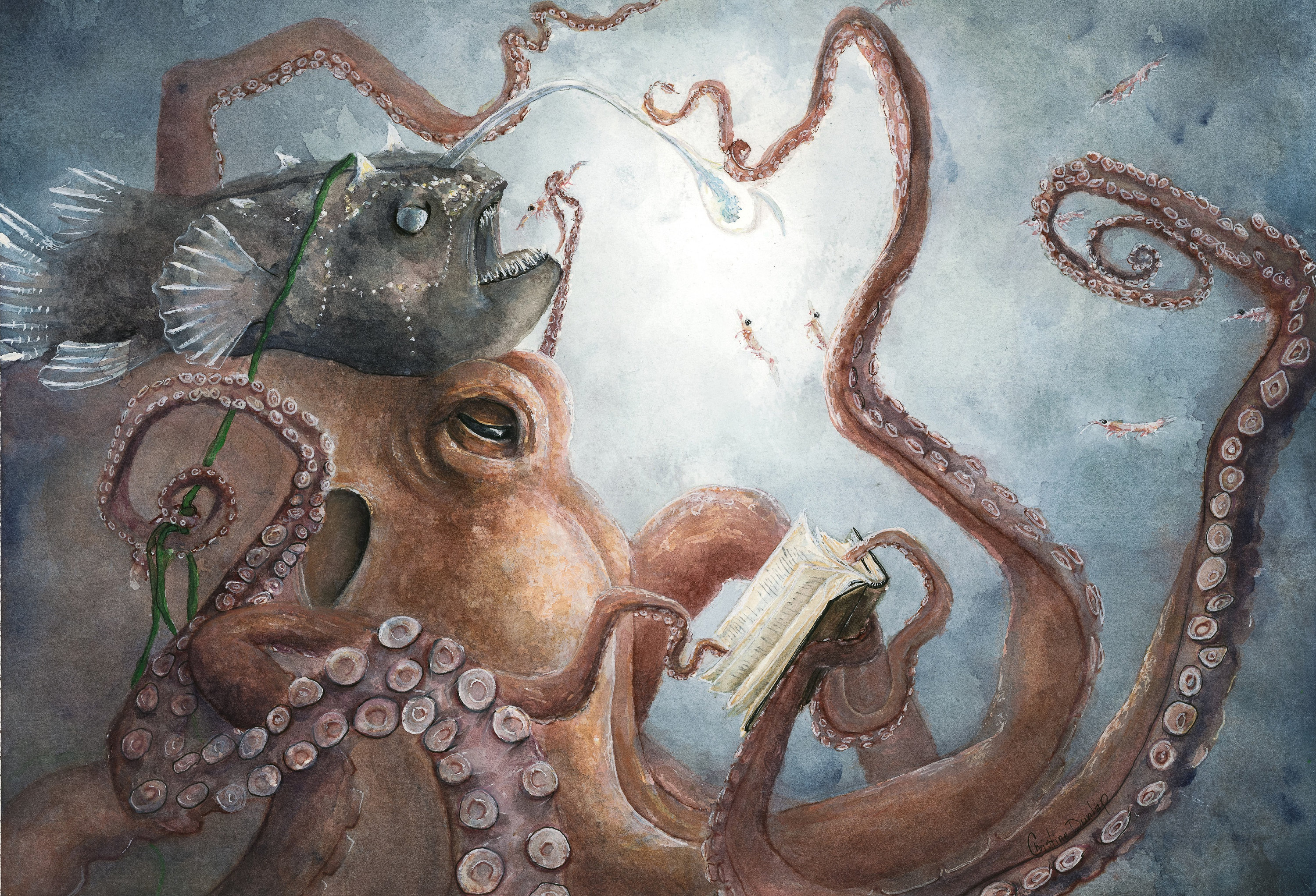 Light Reading: Print of Original Whimsical Watercolor Painting. Octopus ...