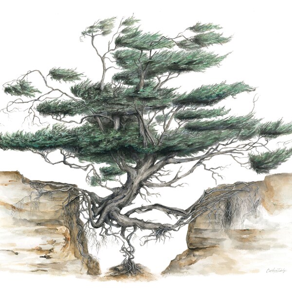 Tree of Life Print - Etsy