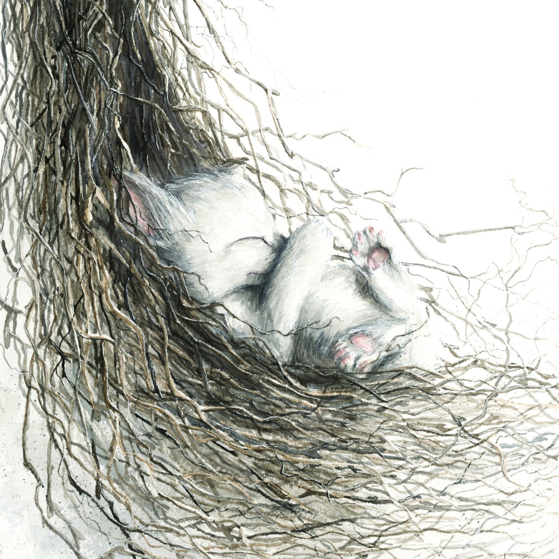 Cat Nap: Print of Original Watercolor & India Ink Painting. - Etsy