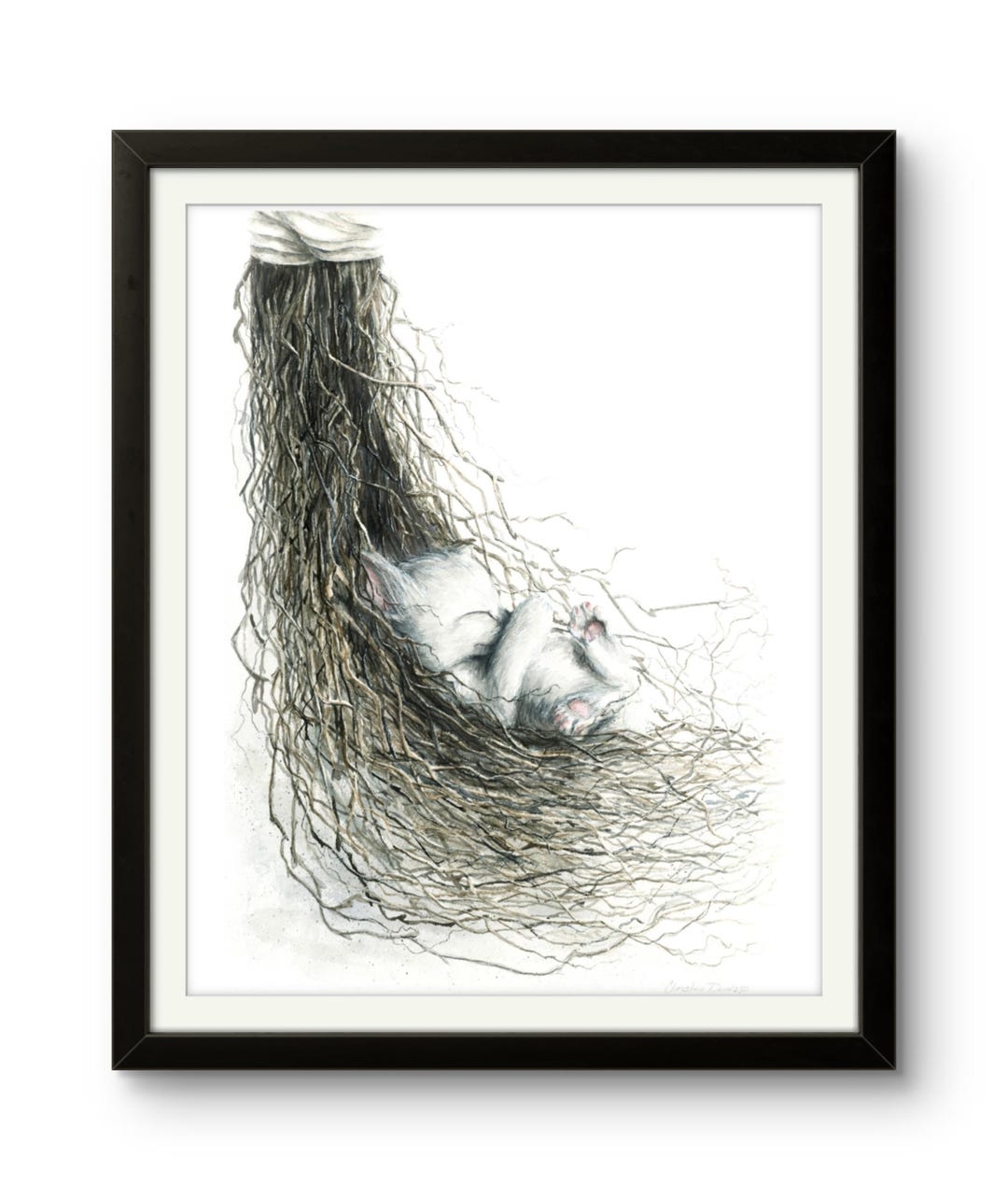 Cat Nap: Print of Original Watercolor & India Ink Painting. - Etsy