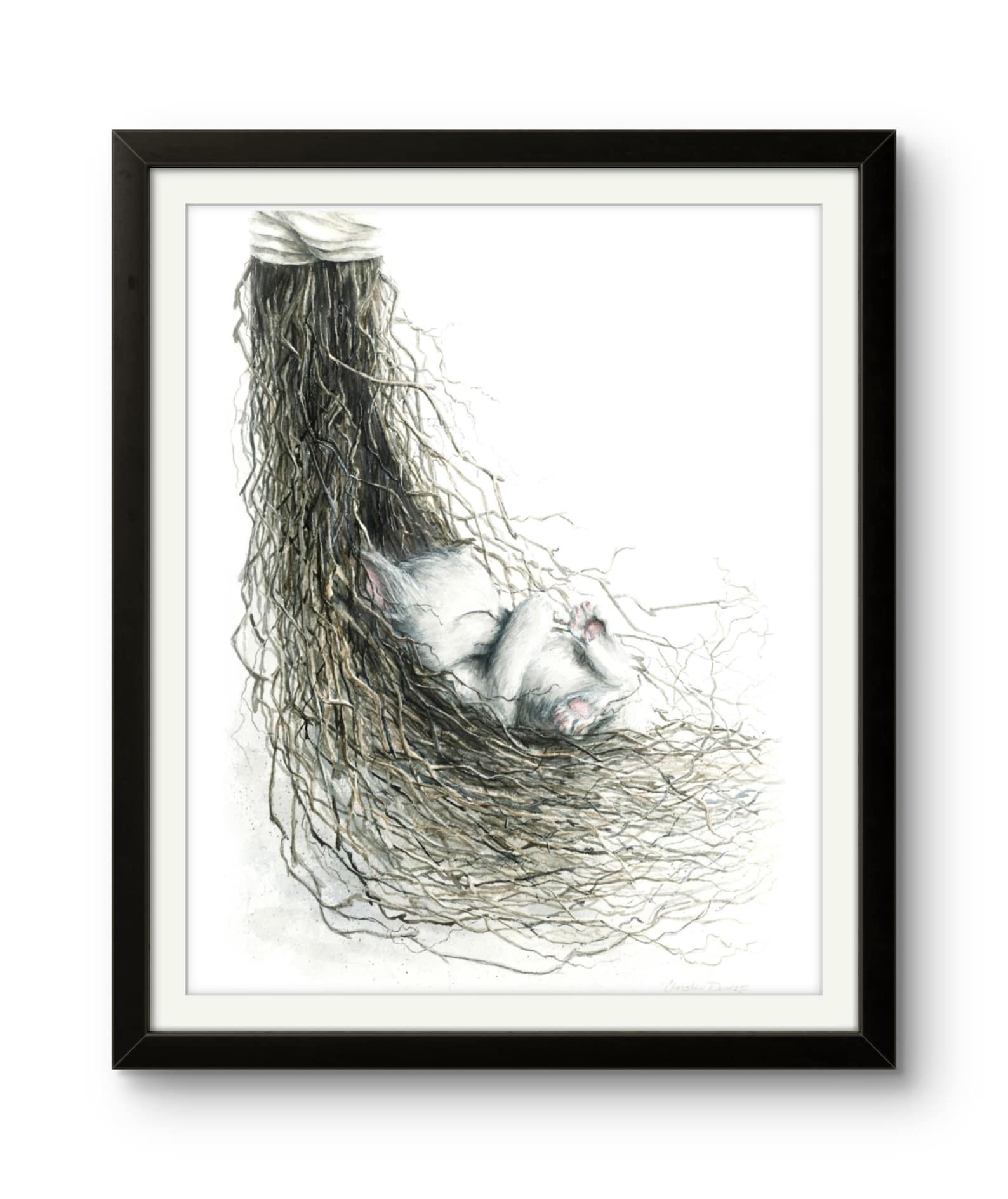 Cat Nap: Print of Original Watercolor & India Ink Painting. - Etsy