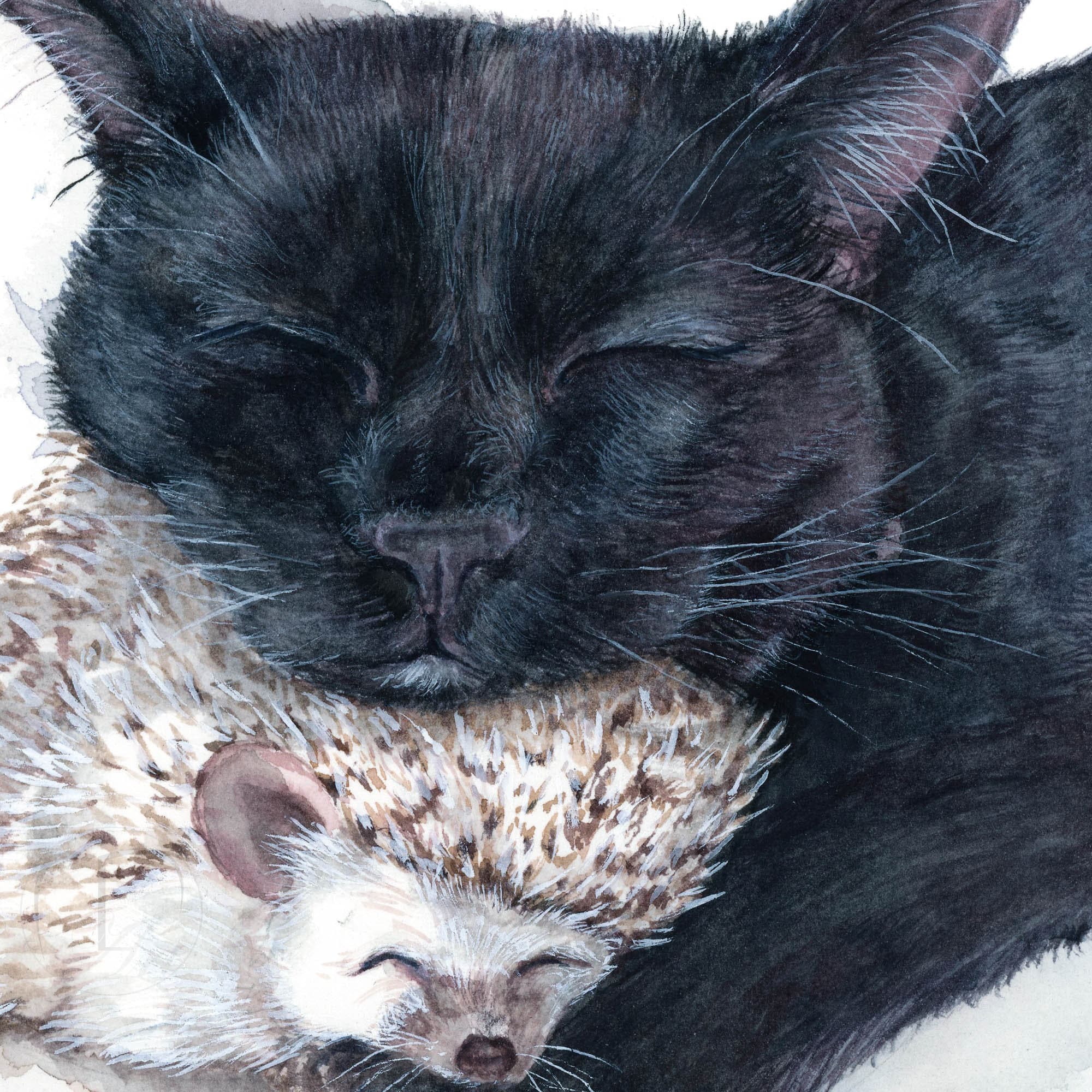 Prickly Comfort: Print of Original Watercolor Painting Cat - Etsy