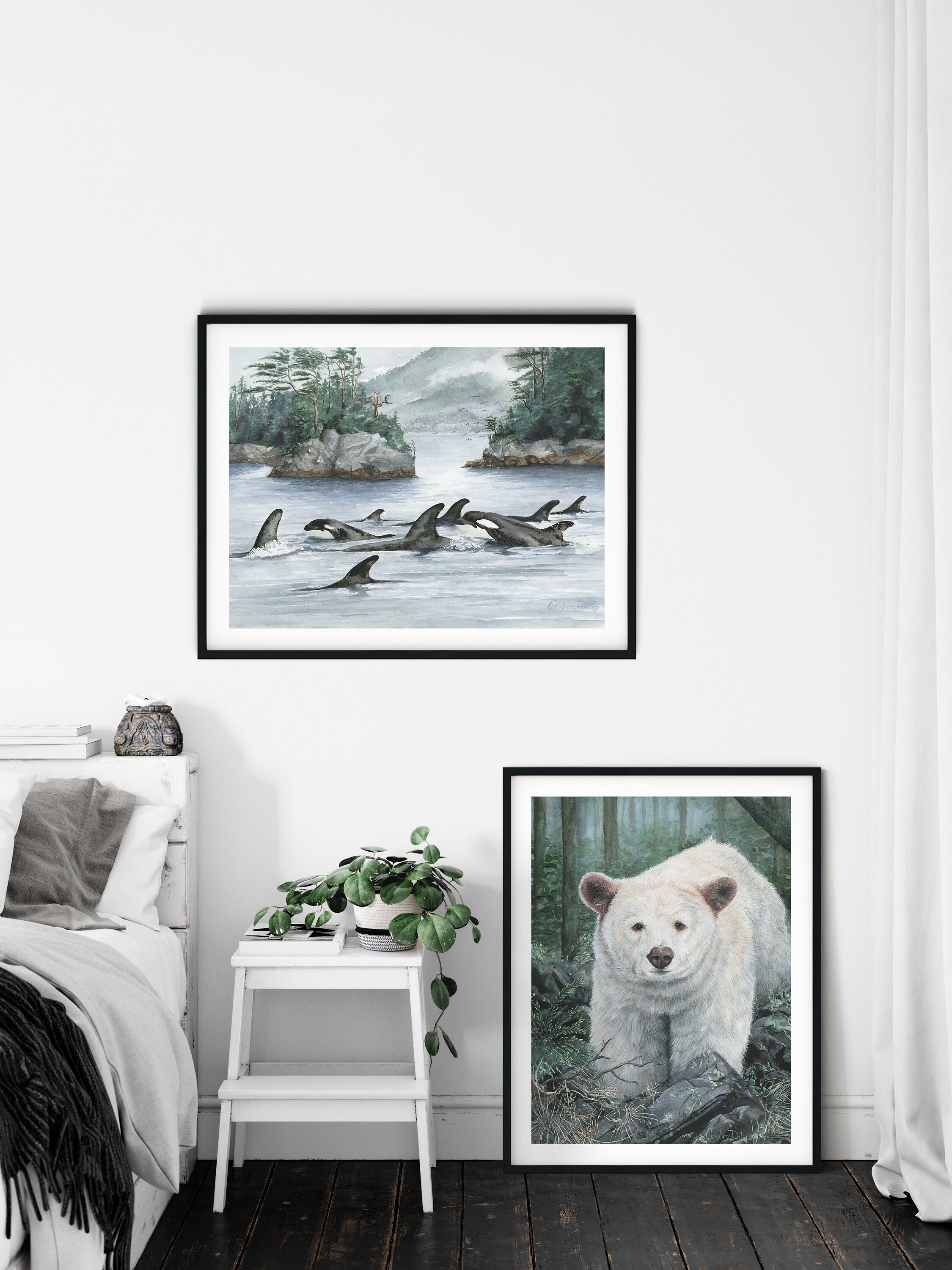 Princess Royal Island Spirit Bear: Print of Original | Etsy