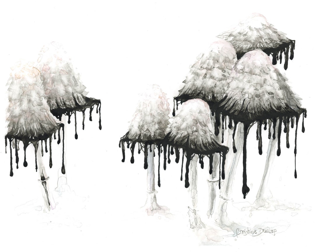 Inky Cap Mushroom III: Print of Original India Ink Painting. - Etsy