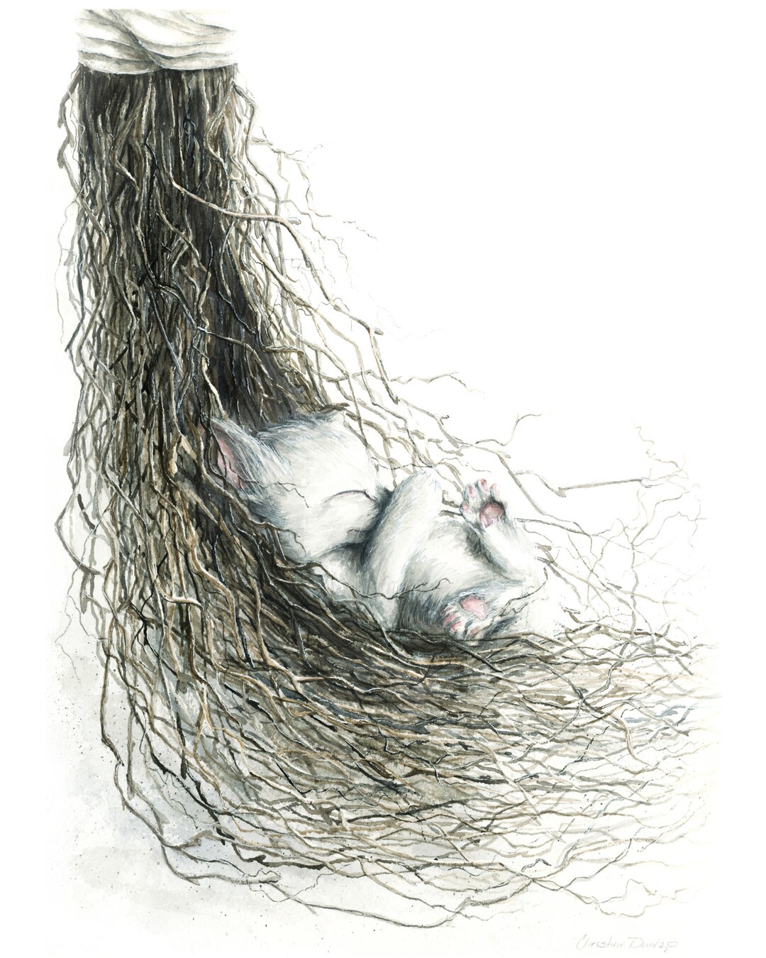 Cat Nap: Print of Original Watercolor & India Ink Painting, Cat Artwork ...