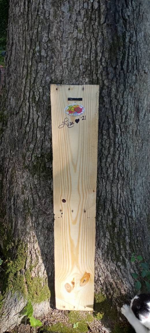 Horror Movie Welcome Sign Pennywise, IT - Etsy