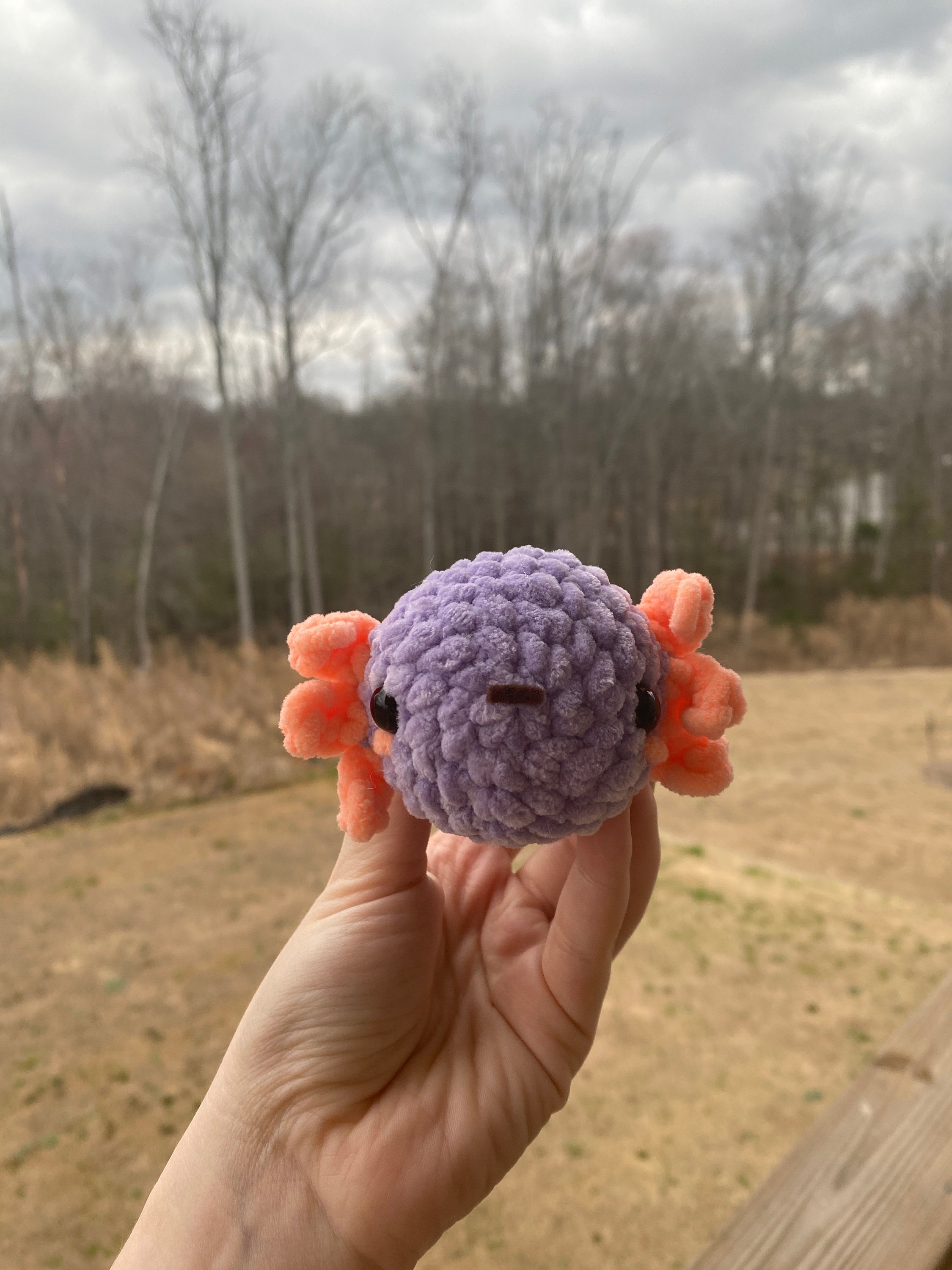 Mini Crochet Axolotls Stuffed Plushie Amigurumi Stuffed Animal - Etsy