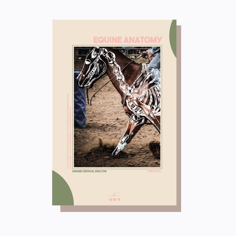 Equine Anatomy Art Print: Detailed Horse Skeleton Illustration (digital ...