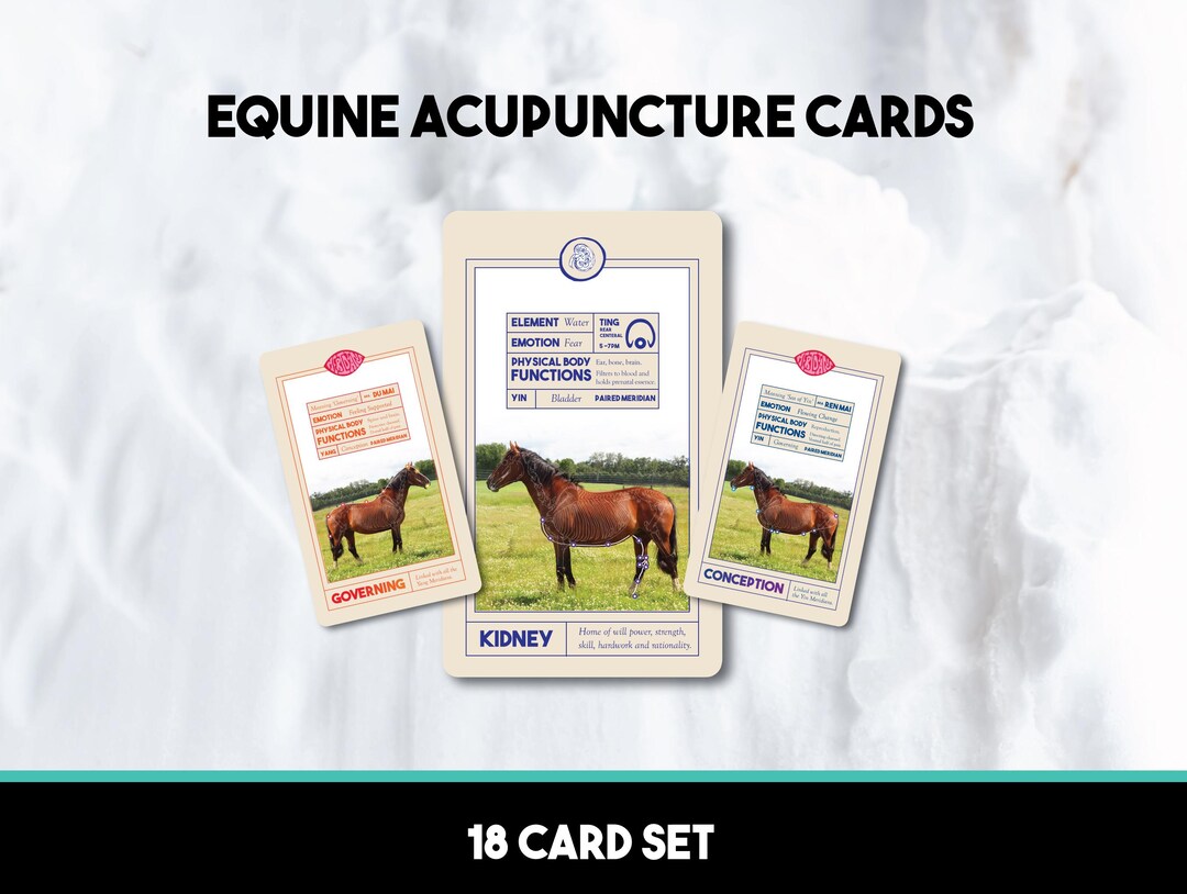 Equine Acupuncture Cards: Horse Anatomy & Acupressure (set of 18) - Etsy