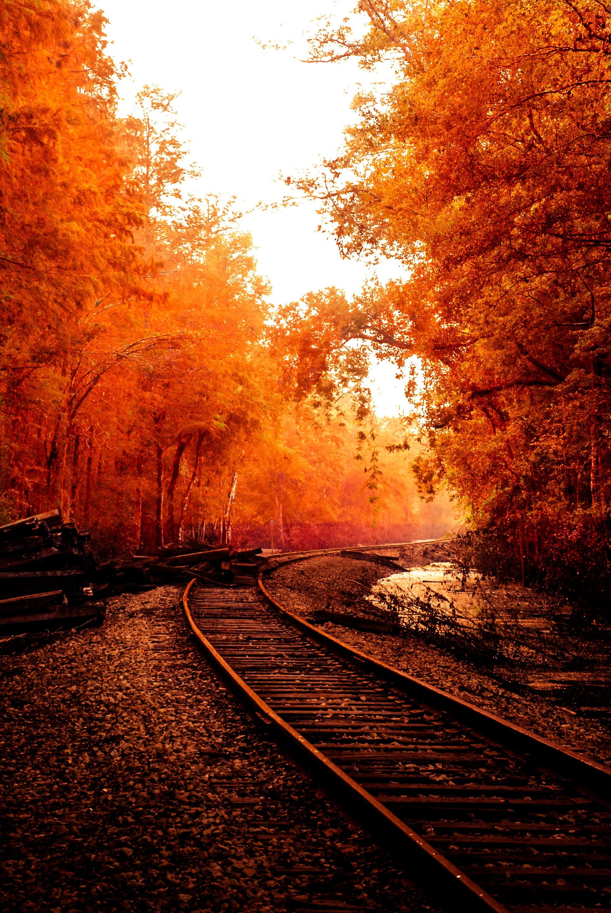 Photo Art Fiery Fall Wonderland Color Photography Print - Etsy