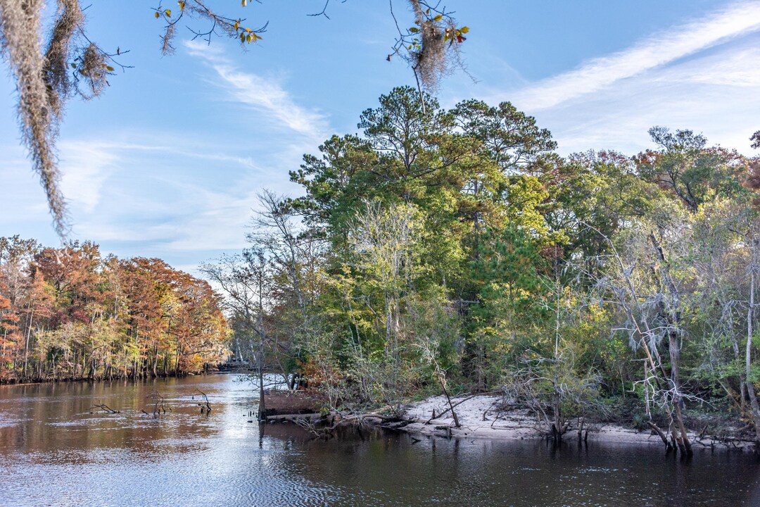 Conway, SC Riverwalk Fall Colors Photo Art - Etsy