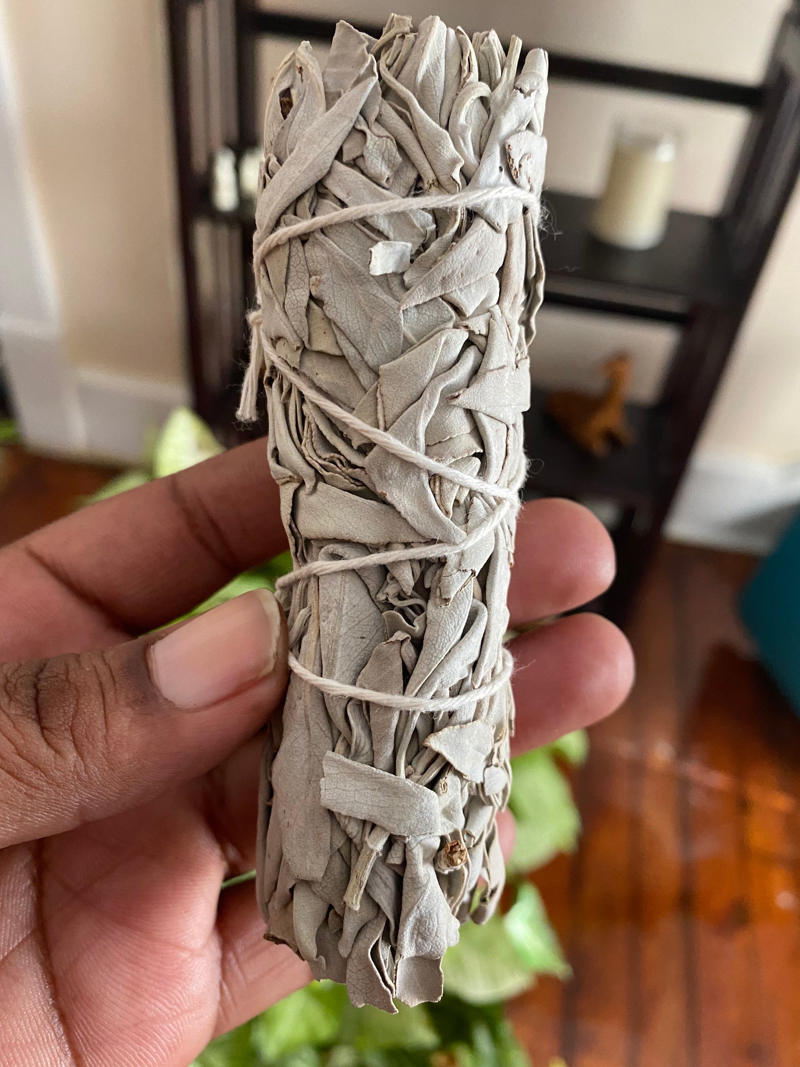 White Sage Stick Smudge Stick - Etsy