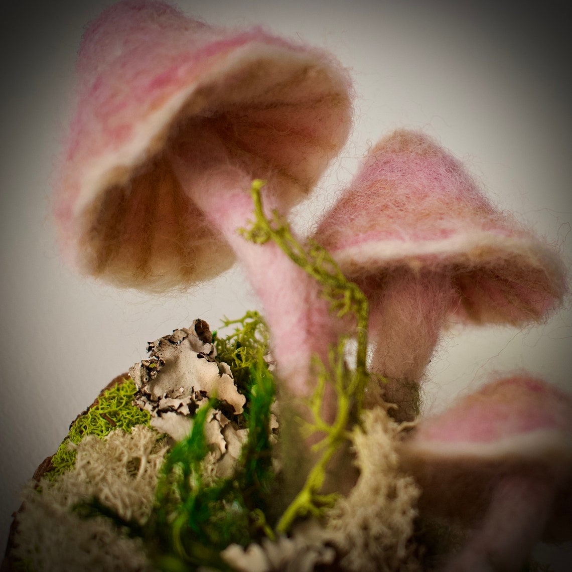 Felted Mushroom Fiberart Woodland Mushroom Needle Felting Felted Wool ...