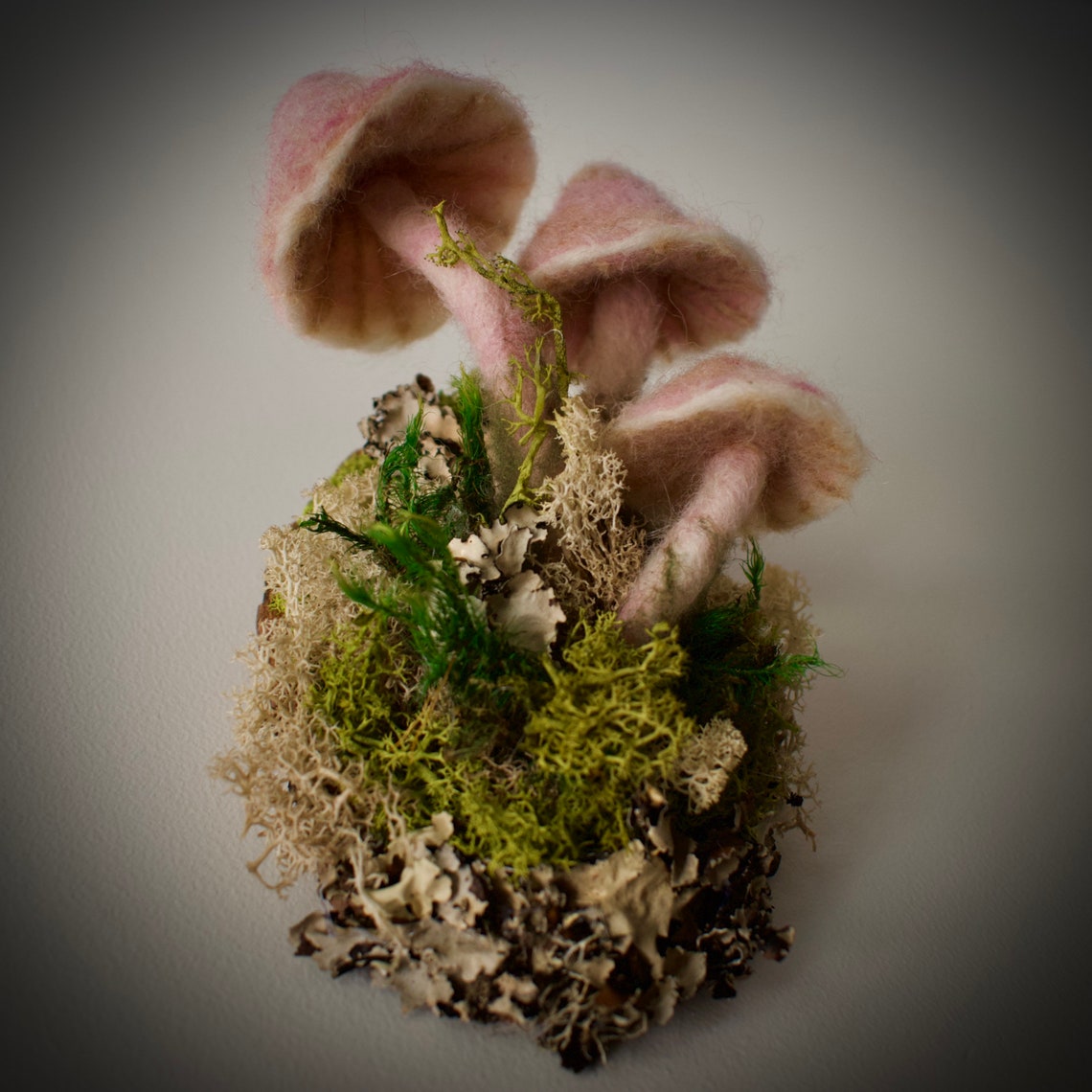 Felted Mushroom Fiberart Woodland Mushroom Needle Felting Felted Wool ...