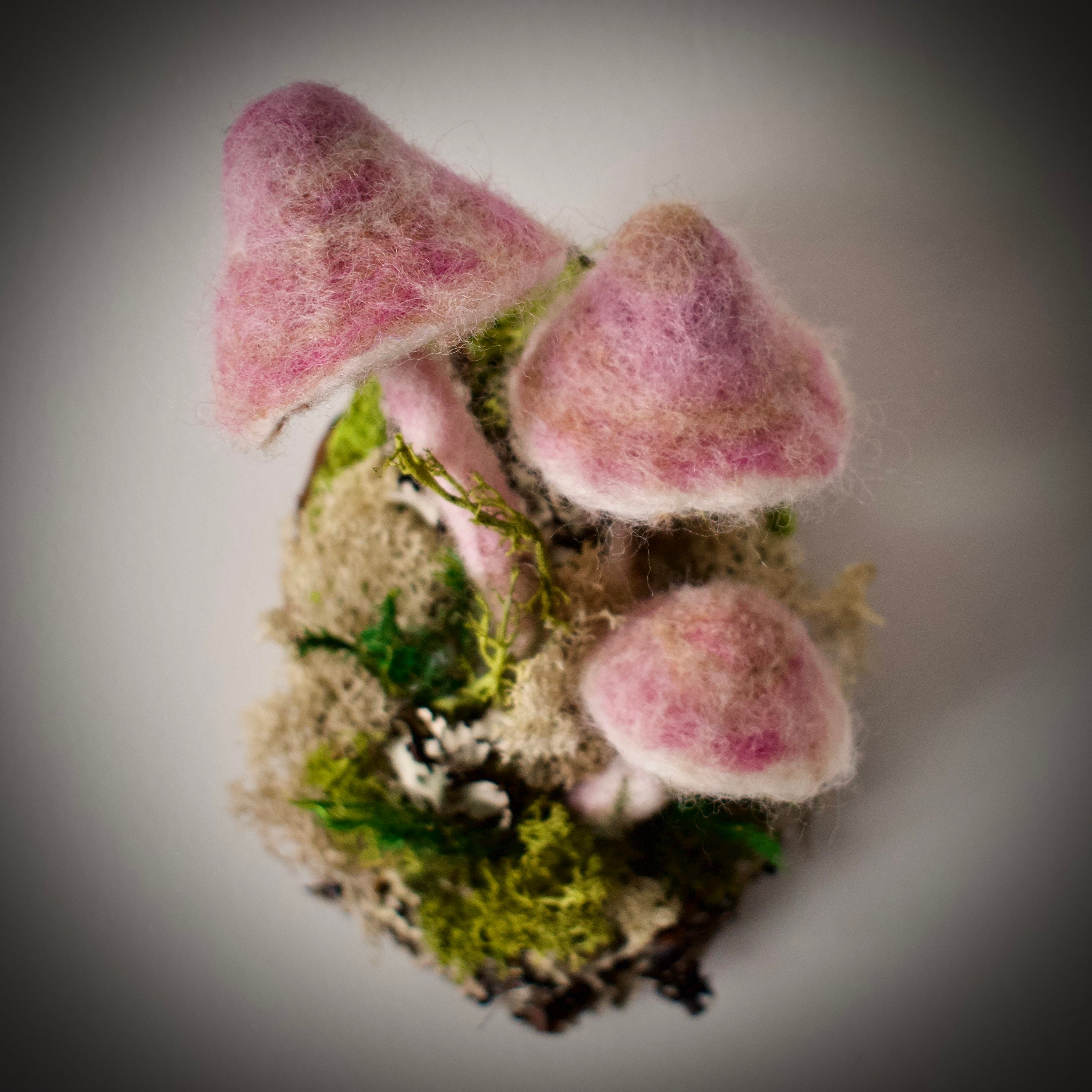 Felted Mushroom Fiberart Woodland Mushroom Needle Felting Felted Wool ...