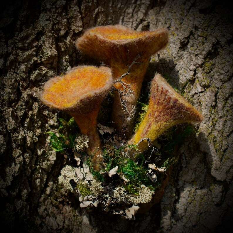 Felted Mushroom Fiberart Woodland Mushroom Needle Felting Felted Wool ...