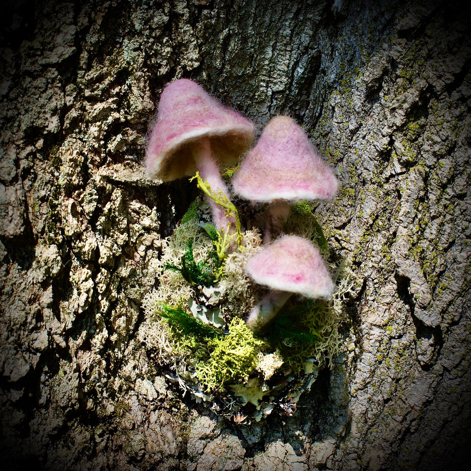 Felted Mushroom Fiberart Woodland Mushroom Needle Felting Felted Wool ...