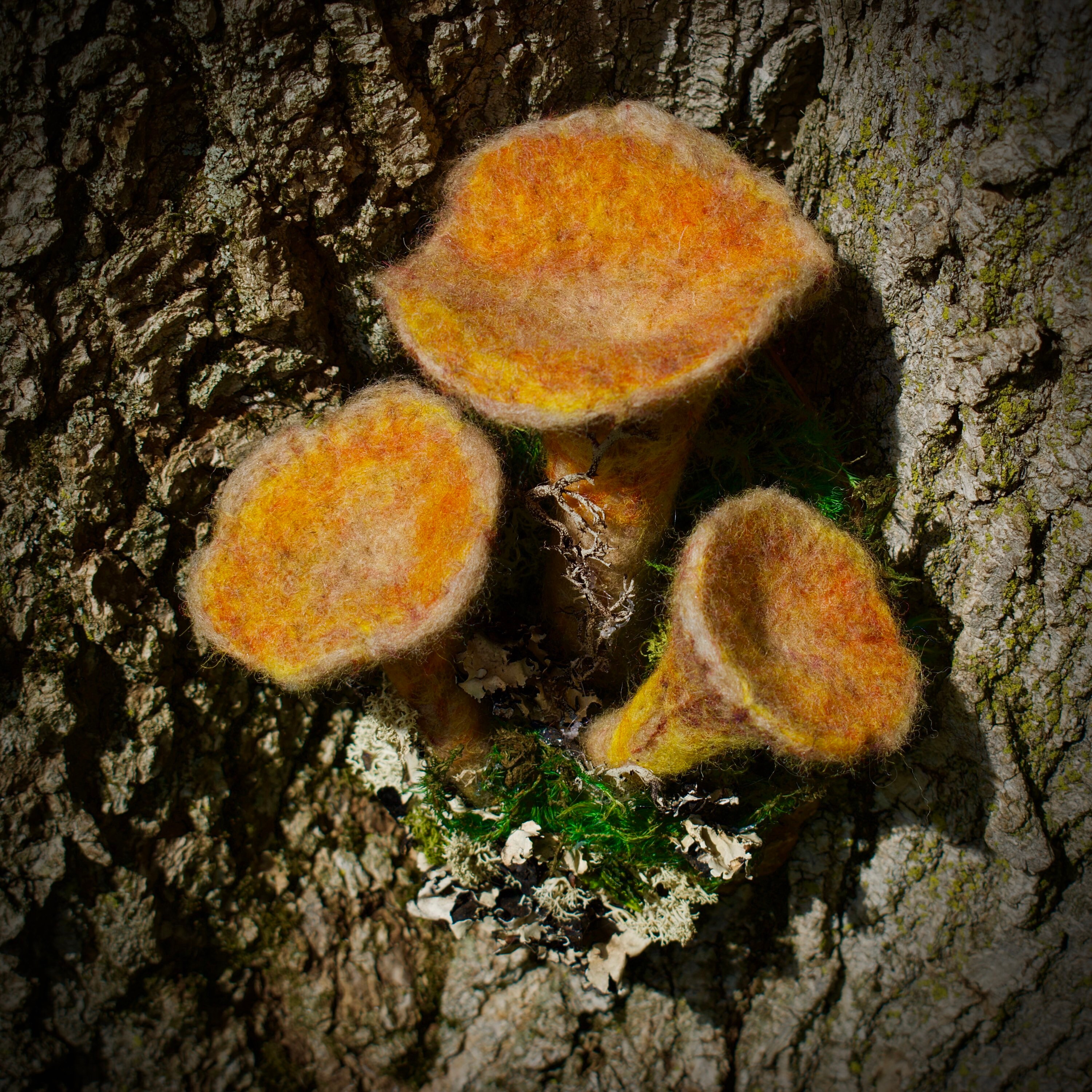 Felted Mushroom Fiberart Woodland Mushroom Needle Felting Felted Wool ...