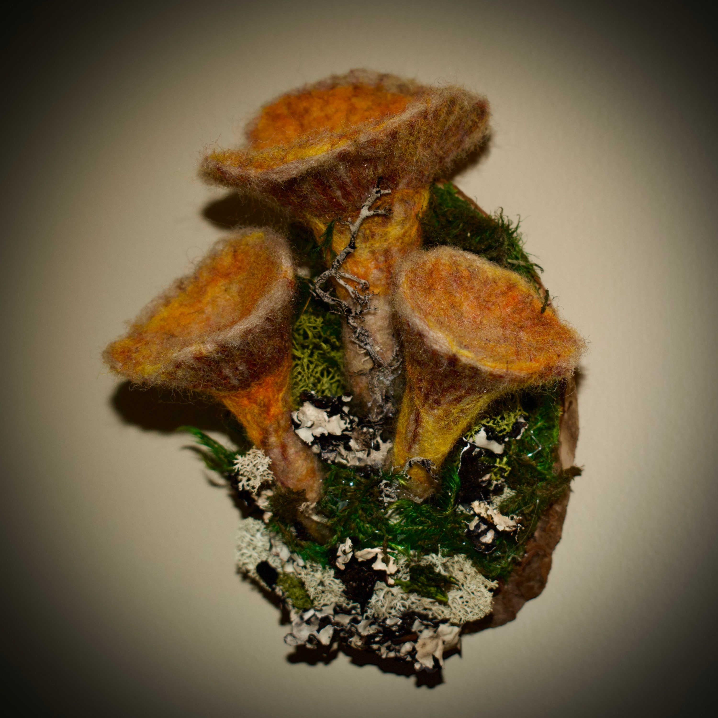 Felted Mushroom Fiberart Woodland Mushroom Needle Felting Felted Wool ...