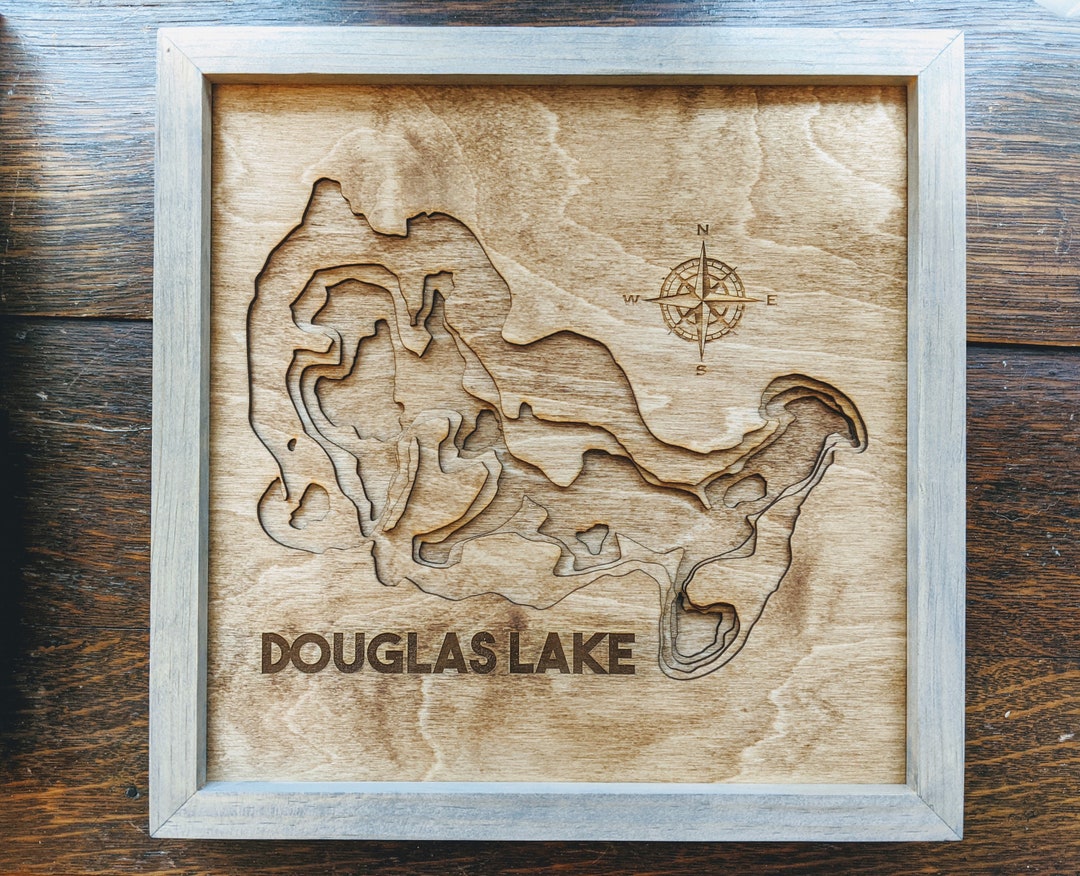 Douglas Lake Topographical Map - Etsy
