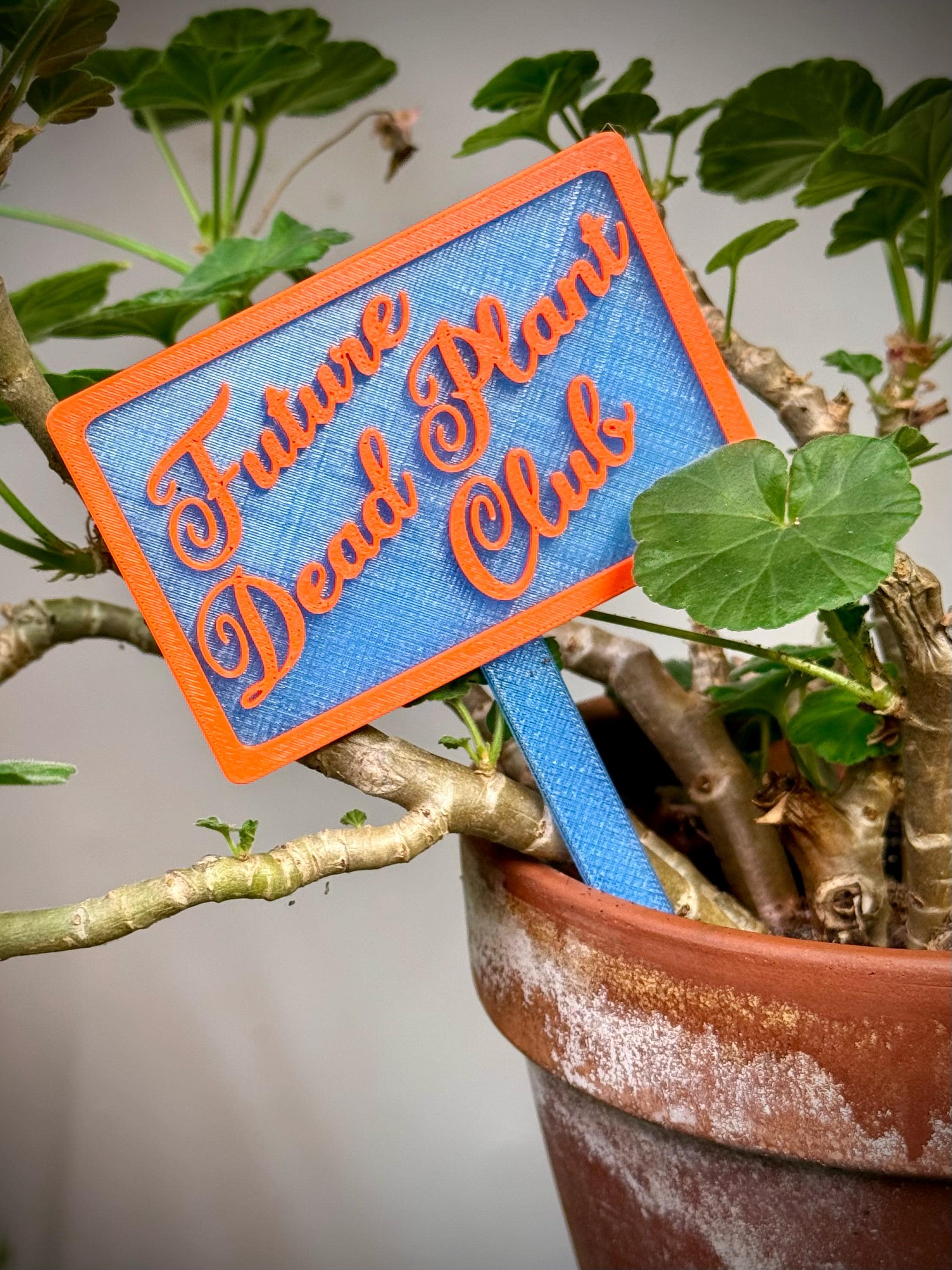 Stayin’ Alive 3D Printed Pot Pick - Fun Garden Marker & Plant Label - Etsy