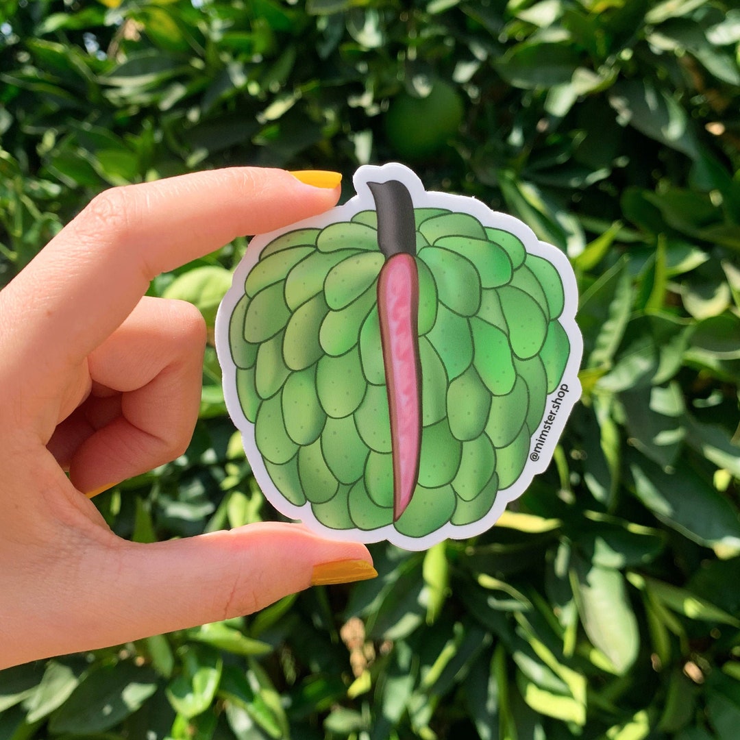 Anona Sticker - Etsy