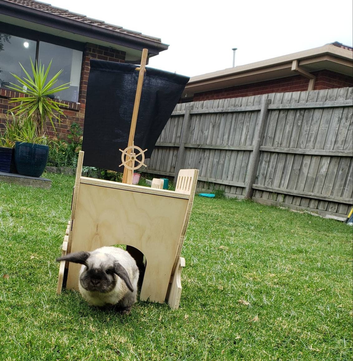 Bunny Pirate Ship - Etsy