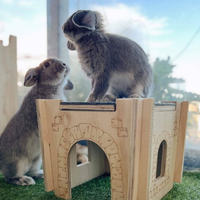 Rabbit Furniture - Etsy