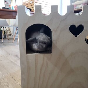 Bunny Dig Box! - Etsy