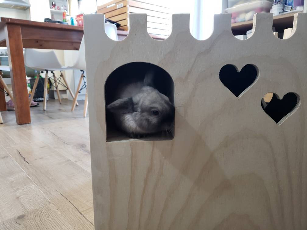 Bunny Dig Box - Etsy