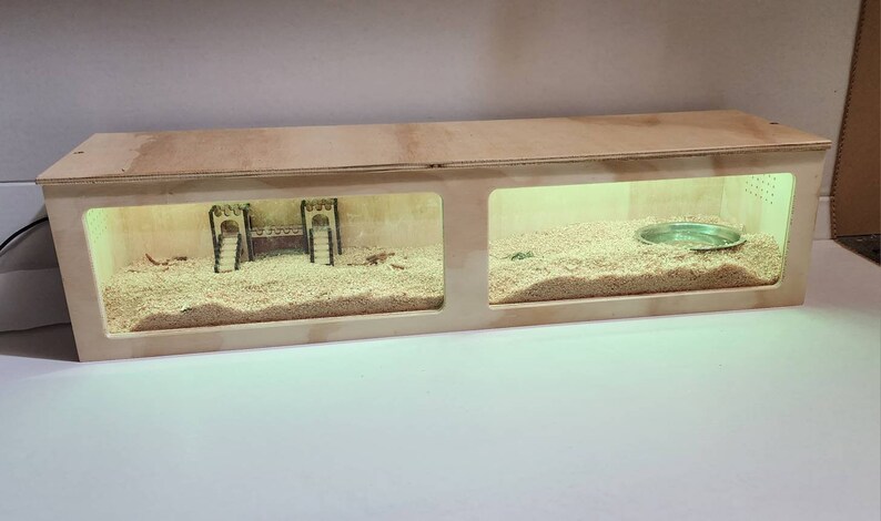 Small Lizard Enclosure - Etsy