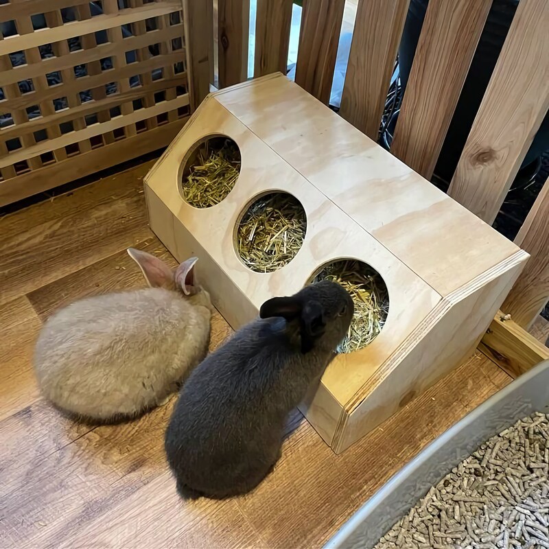 Rabbit Litter Box Hay Feeder - Etsy