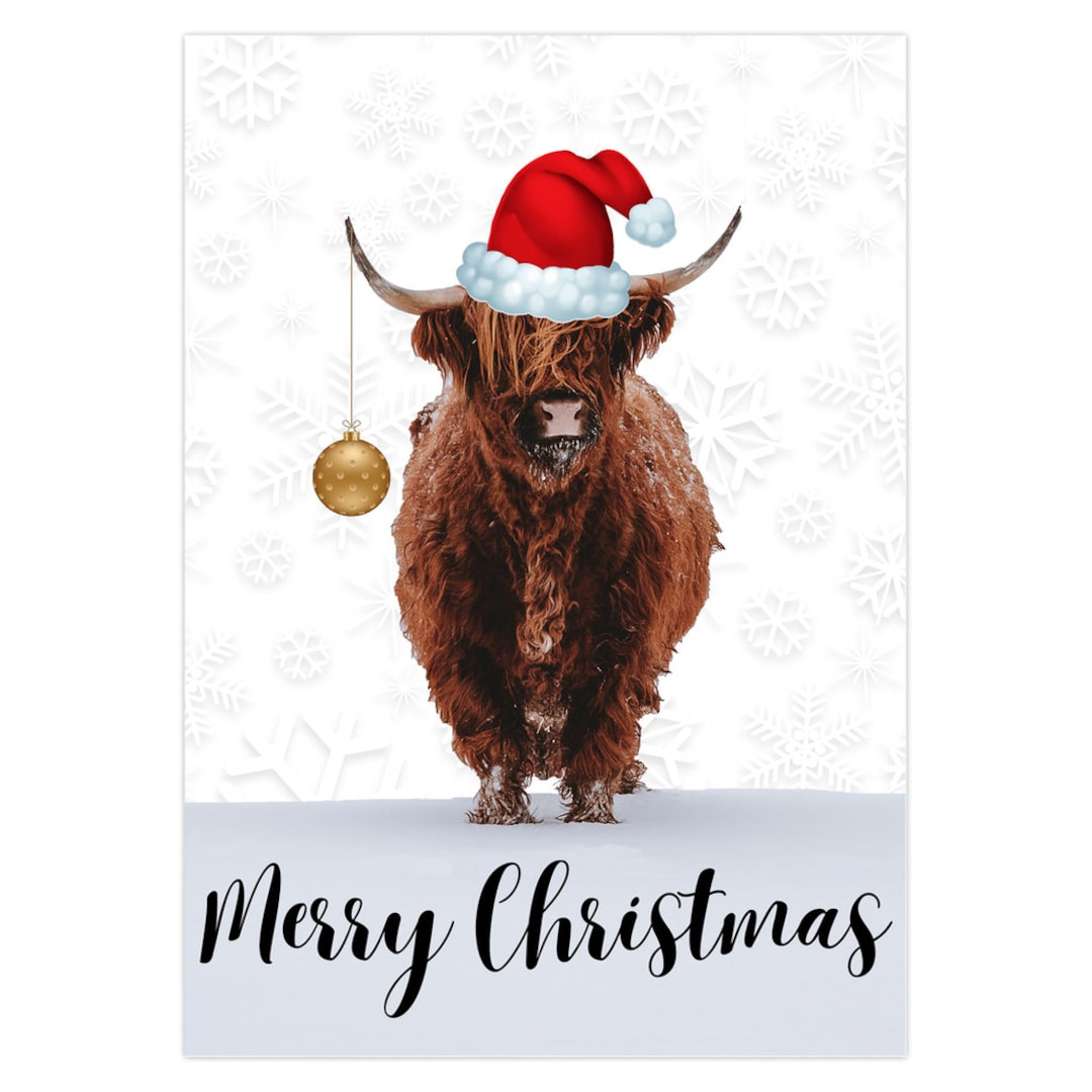 Highland Cow Christmas Cards, Holiday Greeting Cards, Cow Christmas ...