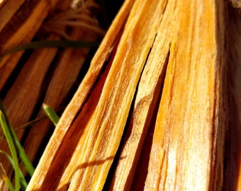 High Octane Red Pine Fatwood Single Solid Branch for Fire Making or ...