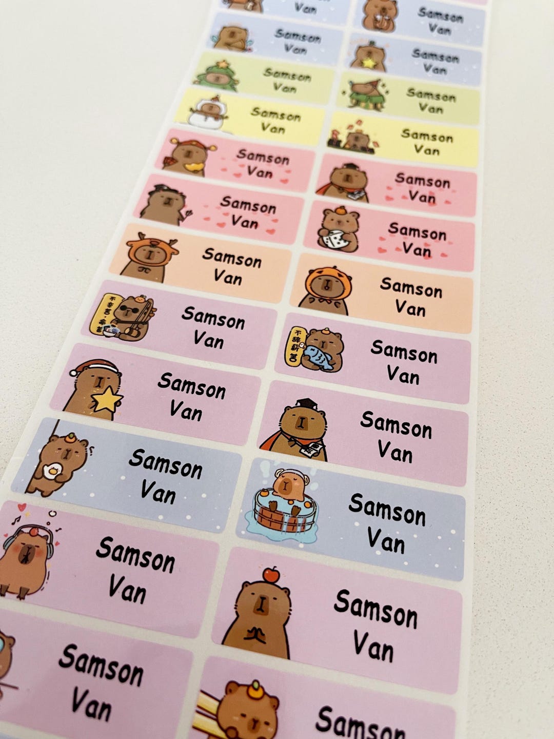 Capybara Waterproof Personalised Sticker Name Label - Etsy