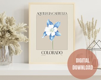 Colorado State Flower Art Print - Etsy
