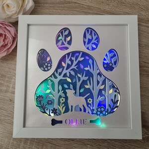 Personalised Pet 3d Light up Shadow Box in 9 X 9 in High Quality Frame ...
