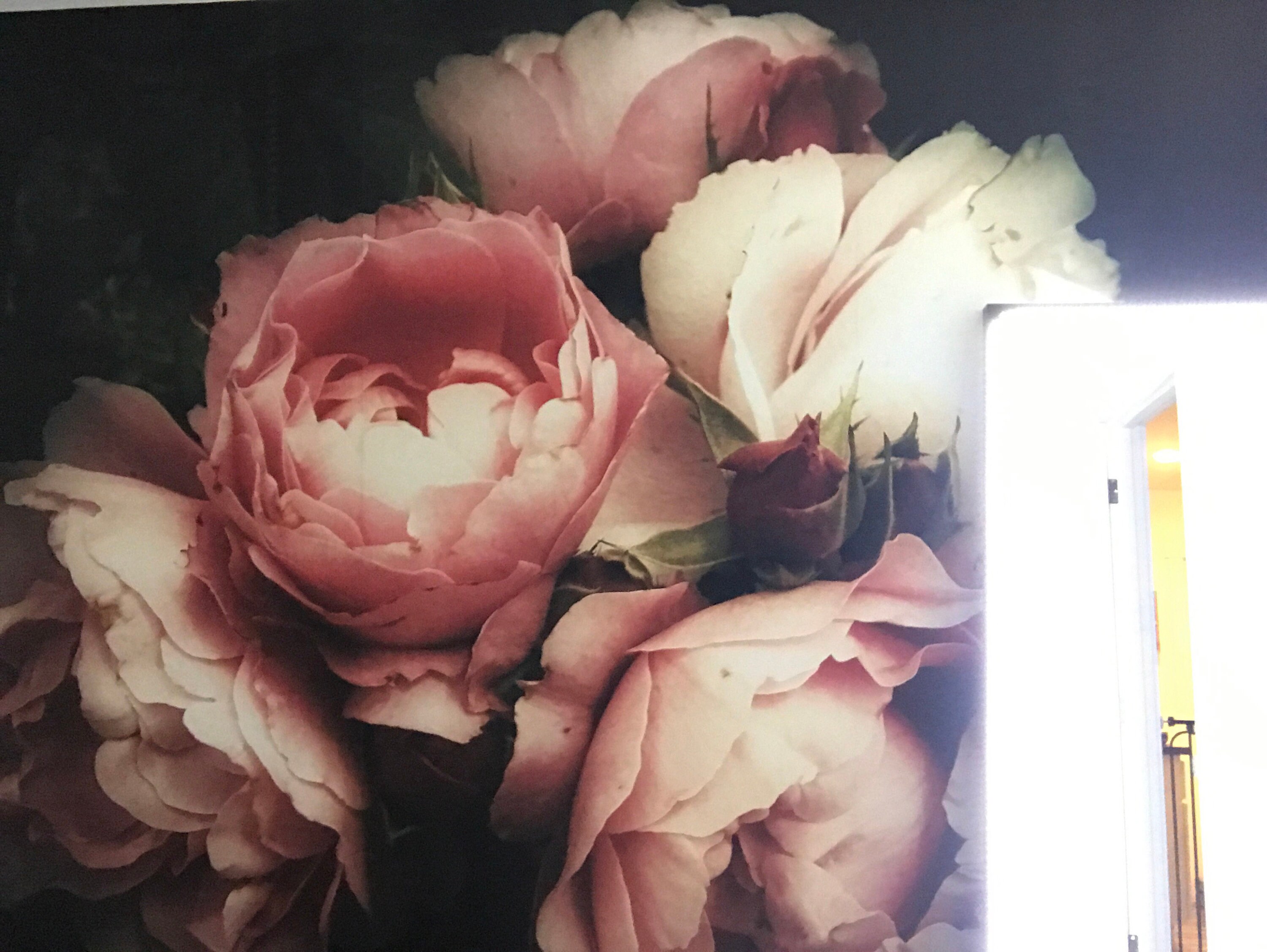 Large Flower Wallpaper, Large Flower Mural Peel and Stick Wallpaper ...