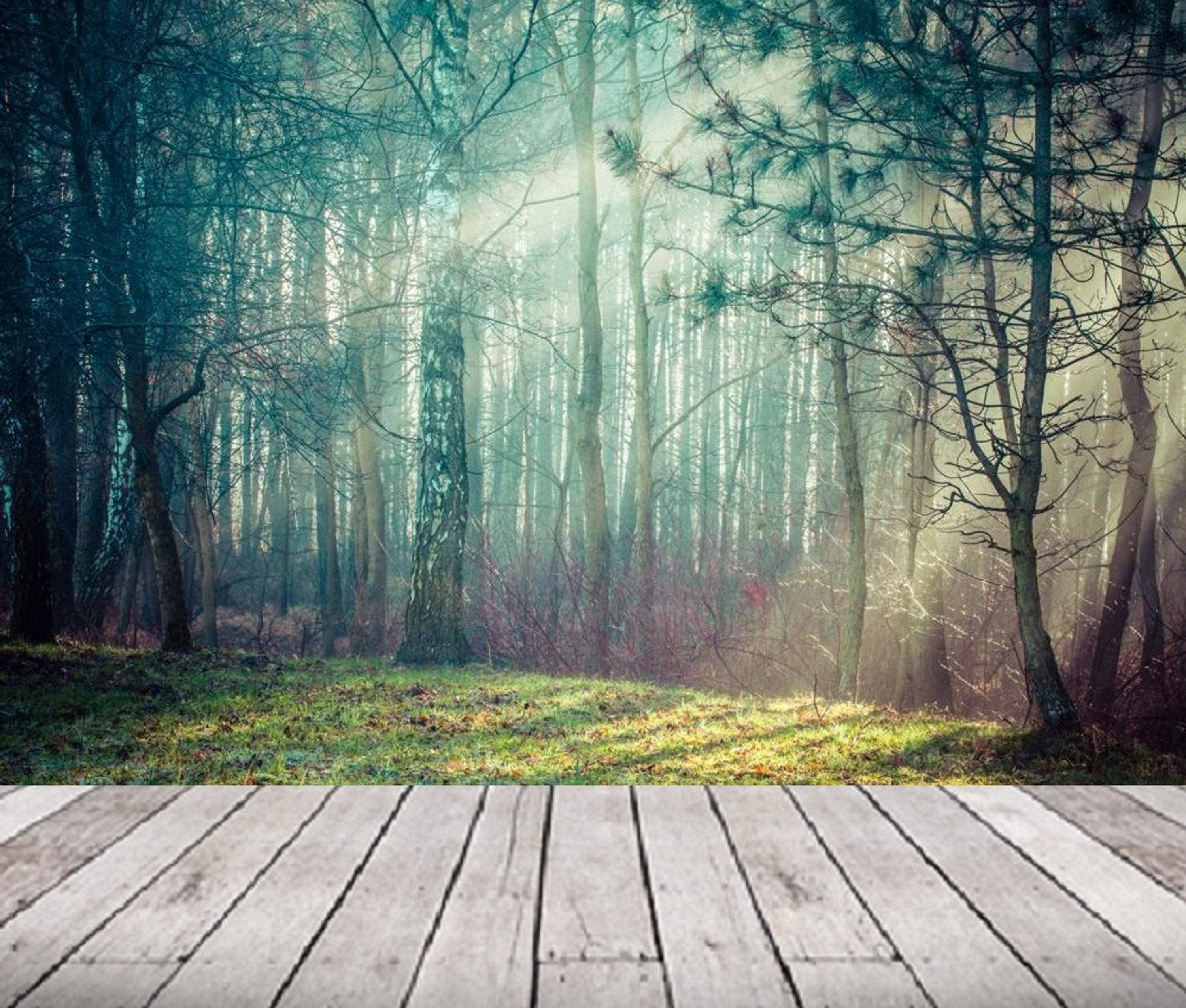 Forest Wall Mural Removable Wallpaper Forest Mural Peel & Stick Misty ...